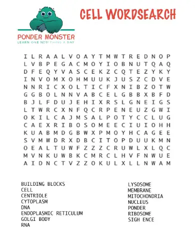 12 Interesting Cell Word Search Puzzles - Kitty Baby Love