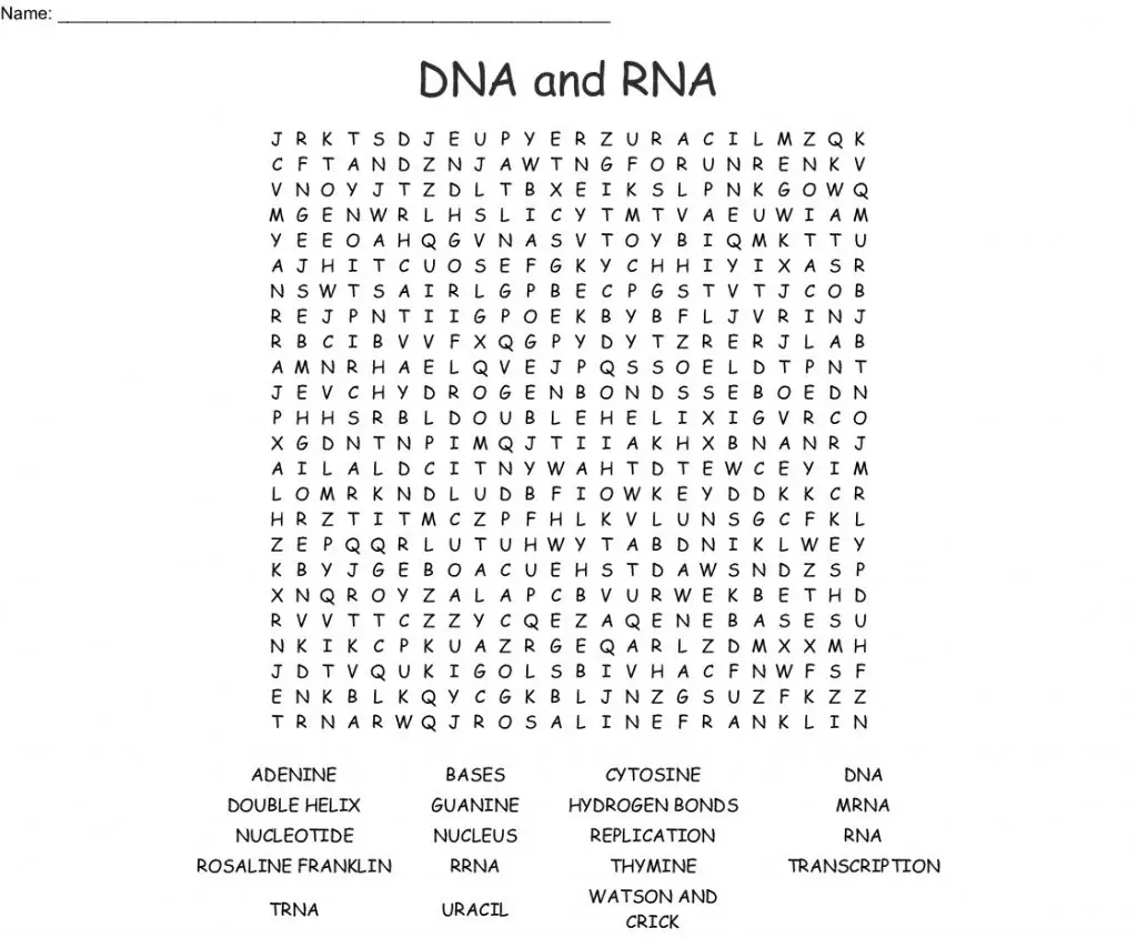 10 DNA Word Searches for You | KittyBabyLove.com