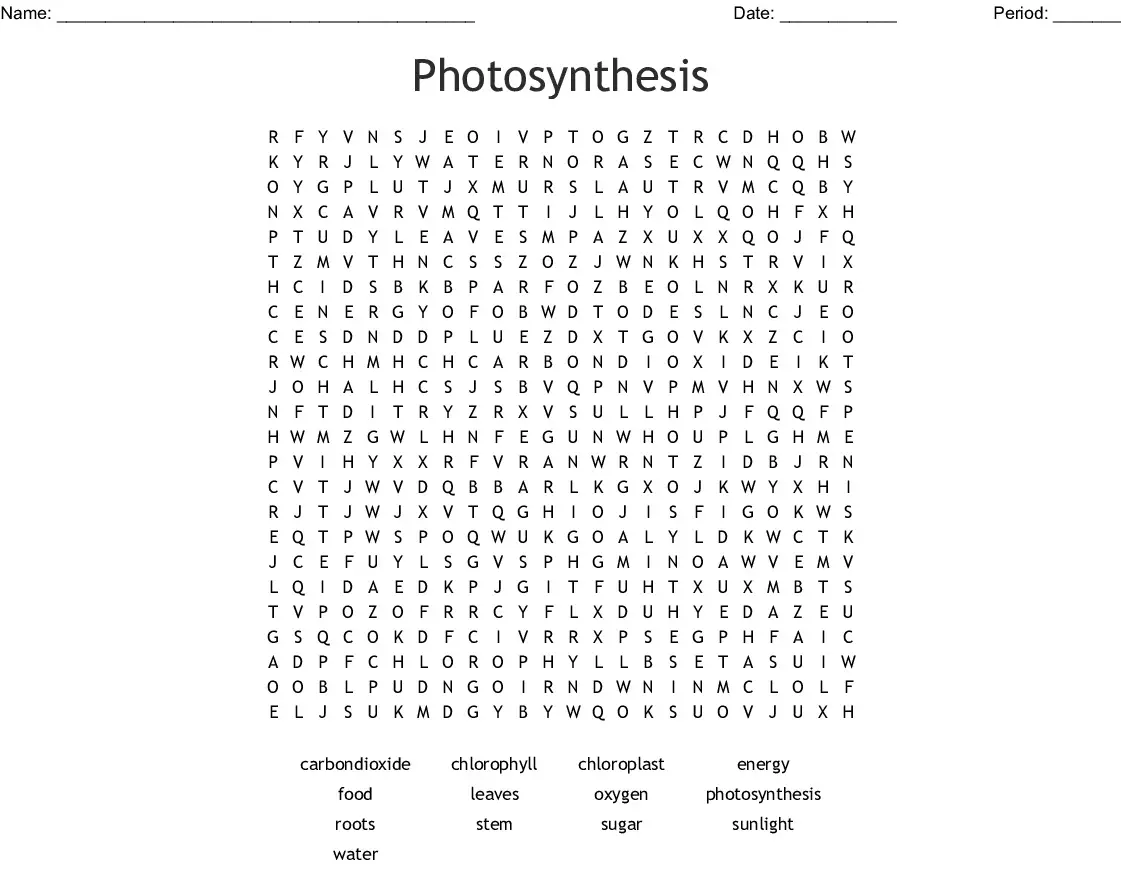 8 Educative Photosynthesis Word Searches - Kitty Baby Love
